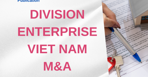 Chia Công ty tại Việt Nam | DB Legal