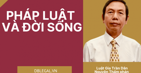 Divorce in Vietnam: Trends, Legal Framework, and Resolution of Complex ...